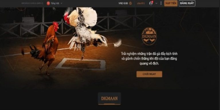 Sảnh Đá Gà Digmaan - bj88.family